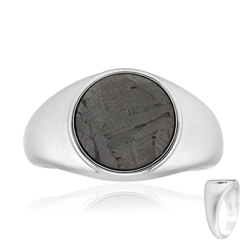 Aletai Meteorit Sterling Silber Ring