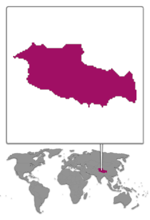 Grüner Tibetanit im Trilliant-Schliff 375 Gold Ring, Tibet 0,833ct