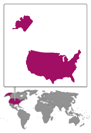 USA Variszit 33ct Platin-Plattierter Silber-Anhänger